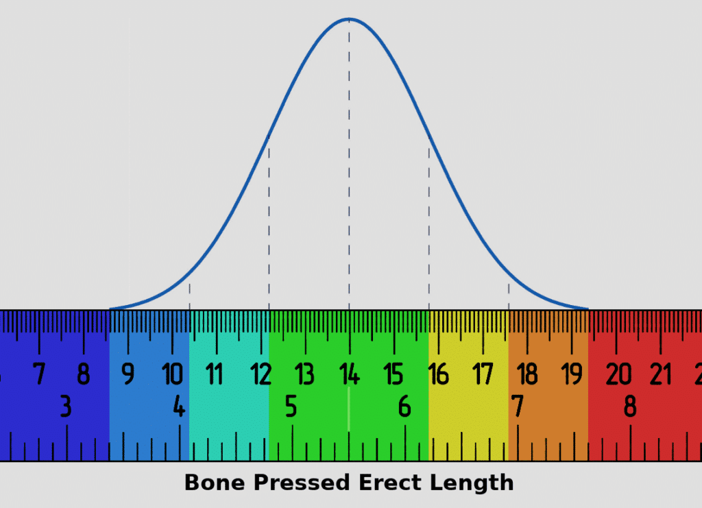 Average Penis Size: Length & Girth Facts